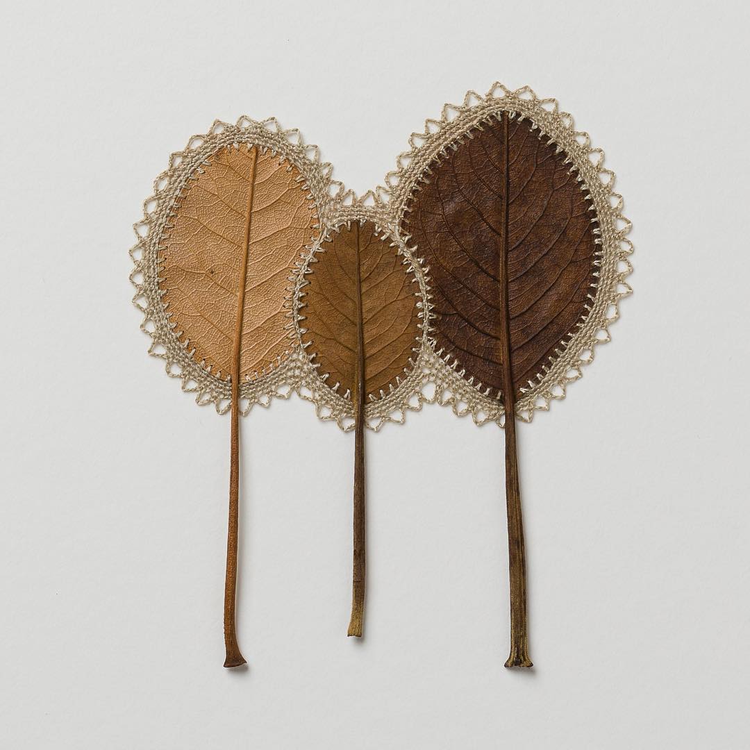 Susanna Bauer Transforms Dried Leaves into Delicate Crochet Sculptures