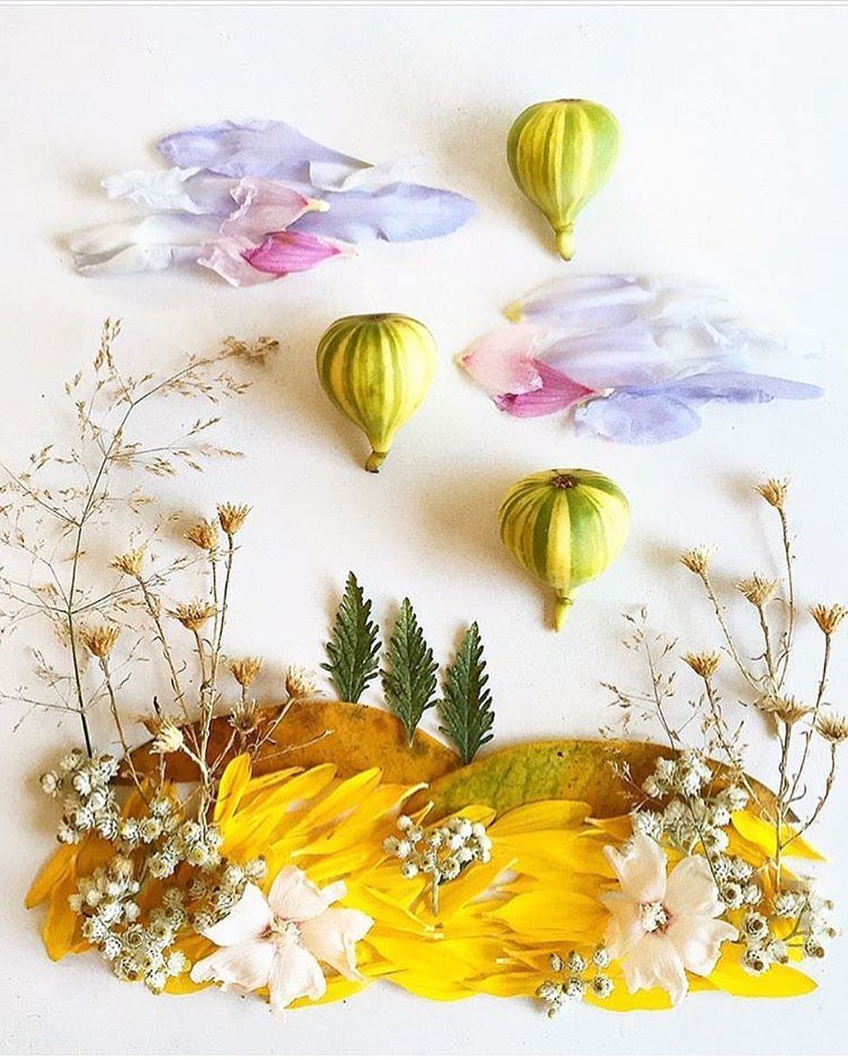 Seattle Artists Uses Plants and Flowers to Create Amazing Botanical Art