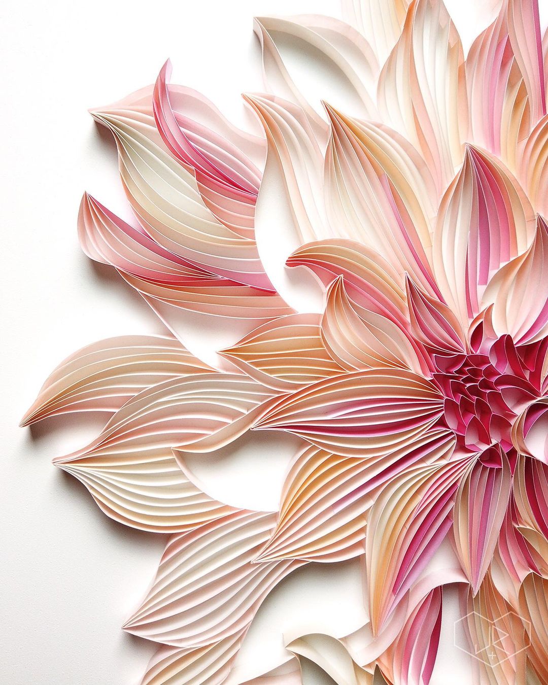 Discover the Magical Paper World of Judith + Rolfe