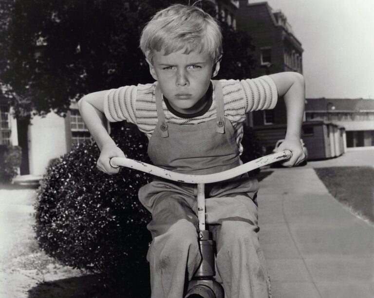 Remembering Jay North: The Enduring Legacy of TV's Original Dennis the ...